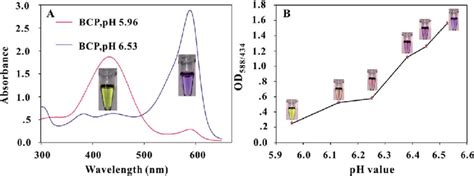 Characterization Of The Ph Transition Points Of Bcp Dye At Different Ph
