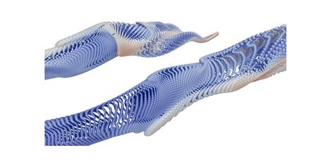 github dw carlson pvpython filters personal python scripts for paraview 5 10