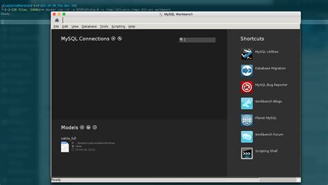 Запуск gui приложения в docker linux