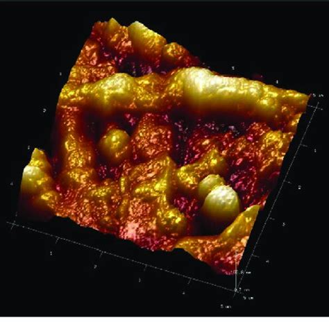 Atomic Force Microscopy Obtained Images Of Group C H Storage In Download Scientific Diagram