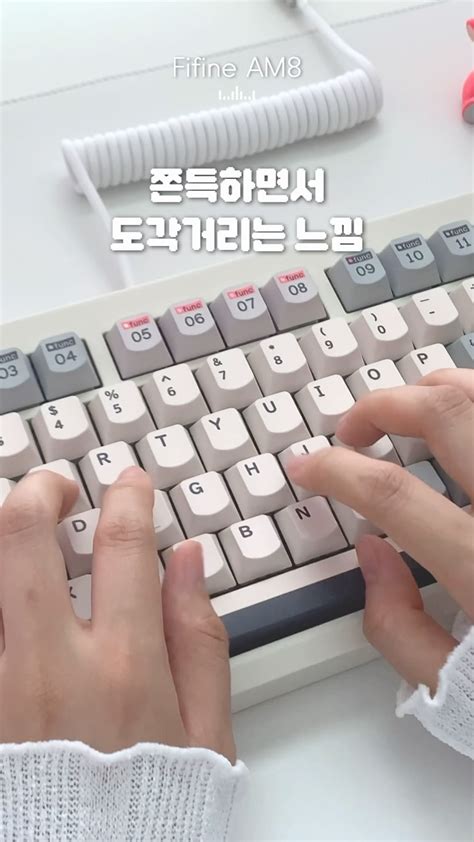 다람지 Daramjjii • Instagram Photos And Videos