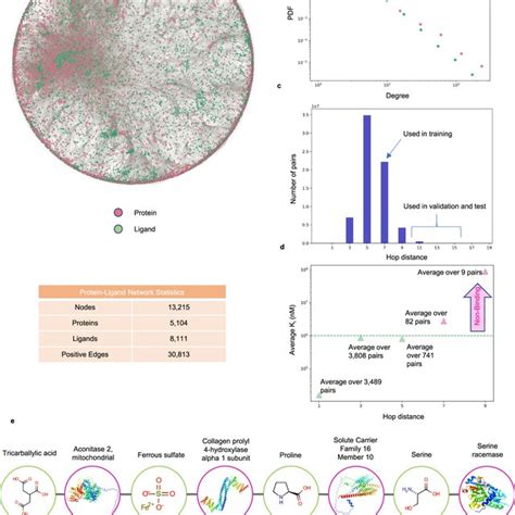 Drug Target Interaction Network A The Drug Target Interaction Network