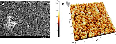 Surface Morphology A And Topography B Of The Ag Nanostructure