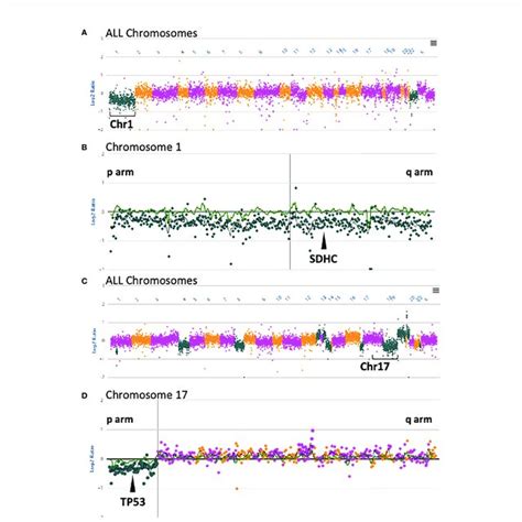 Somatic Oncopanel Copy Number Alterations In Subject 3 And Subject 4