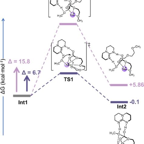 Energetic Profiles For The Nucleophilic Addition Of Methanol To Cyclic