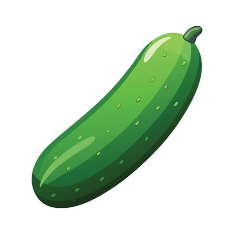 Slightly Bumpy Skin Long Cucumber Illustration 57240436 Vector Art At