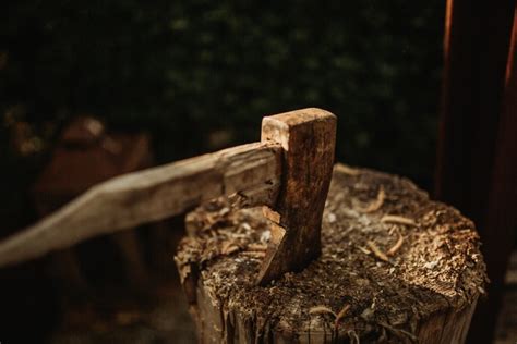 Introduction To Decision Trees And Cart Algorithm Hanane D