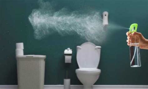 Smell In The Bathroom Foolproof Tips To Eliminate Odors