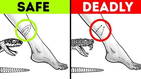 Life Hacks Survival