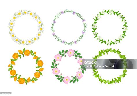 꽃화환 세트 금송화 카모마일 스테비아 백리향 로즈힙 민트가 있는 둥근 프레임 야생 허브와 꽃 만화 플랫 스타일로 약용 식물의 벡터 일러스트 박하 요리에 대한 스톡 벡터 아트