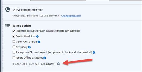 Backup Error With Access Denied Destination Issues Sql Backup And