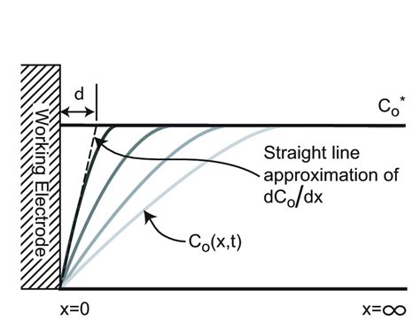 4 Concentration Profile Concentration Profile Of O At Various Times