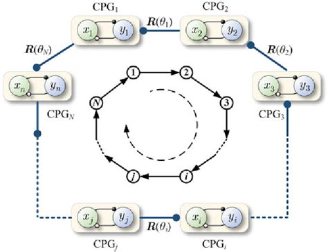 Figure 10 From Gait Generation With Smooth Transition Using Cpg Based