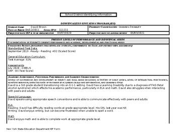 NYS Mock IEP By Dani S Dollar Deals TPT