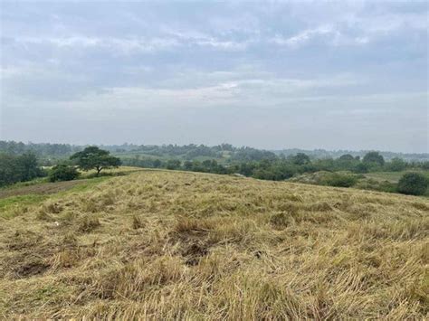 Eagle Cement Plant [4 113 Properties] February 2026 On