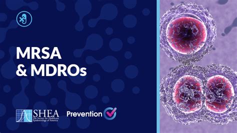 Mrsa And Mdros Learningce Shea