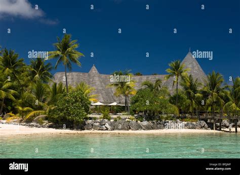 Pearl Beach Resort Tikehau Tuamotu Polynésie Française Photo Stock