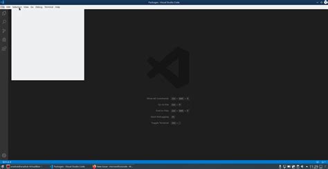 Visual Studio Code Crashes After Rapidly Clicking The Menu Bar Options File Edit View Etc