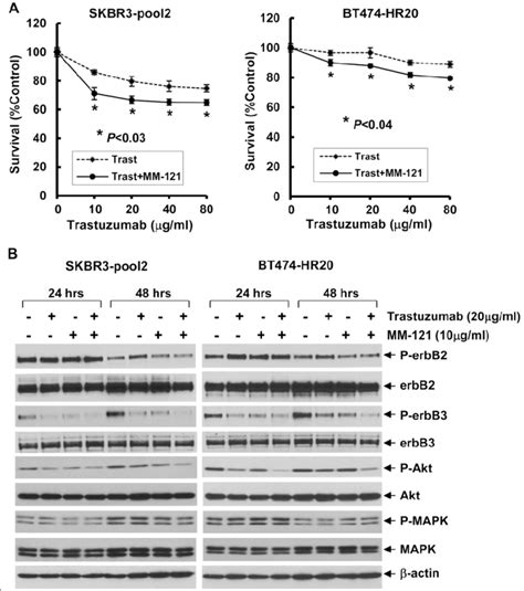 Mm 121 Significantly Enhances Trastuzumab Induced Growth Inhibition In