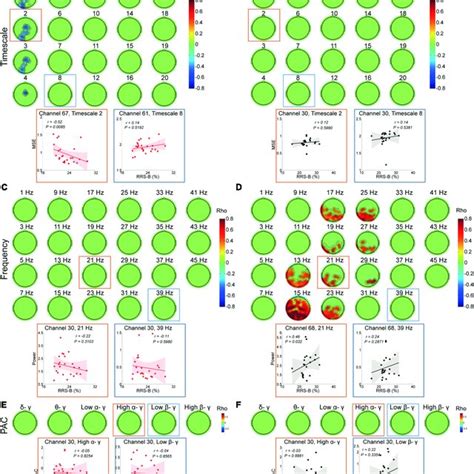 Temporal And Spatial Comparison Of Mse In The Resting State Of Eeg A