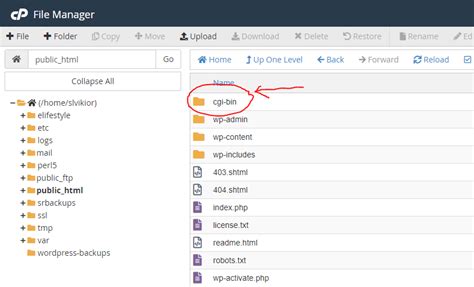What Is Cgi Explanation About The Cgi Bin File Slvikiorg