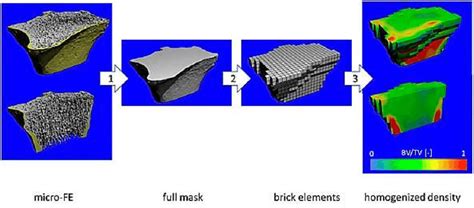 Schematic Representation Of The Homogenization Procedure In A First Download Scientific