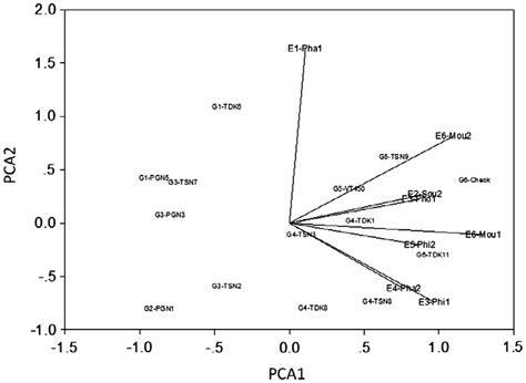 A Principal Component Analysis Location Standardized For The