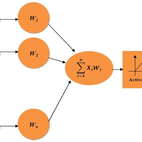Mathematical Model Of The Neural Network Download Scientific Diagram
