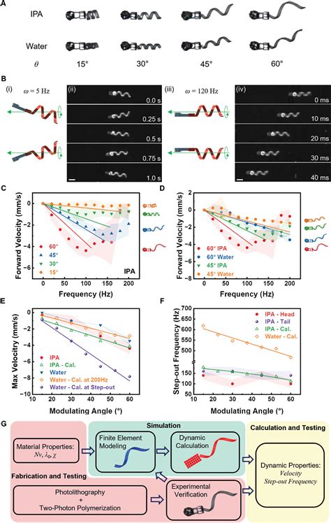 Shape‐programmable Adaptive Multi‐material Microswimmers For Biomedical Applications Tan