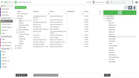 version manager for qlik informatec