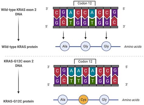 This Illustration Depicts A Single Nucleotide Polymorphism Of Guanine