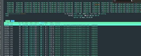 manticore run in docker with extra 1 use 100 of cpu · issue 1535