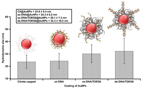 Dna Directed Protein Anchoring On Oligoalkanethiol Coated Gold Nanoparticles A Versatile