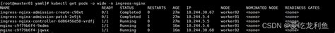 k8s学习 ingress详细解释与应用 nginx ingress controller csdn博客