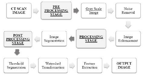 Stages Of Lung Cancer Detection Download Scientific Diagram