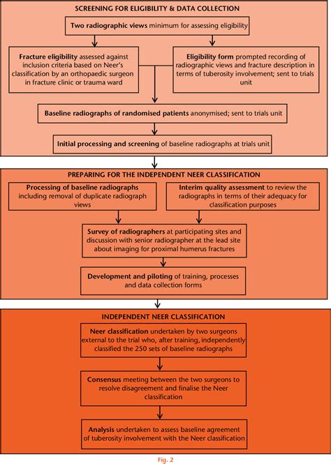 Figure 2 From Defining The Fracture Population In A Pragmatic