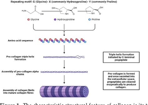 Figure 1 From The Role Of Extracellular Matrix Ecm Adhesion Motifs In Functionalised Hydrogels