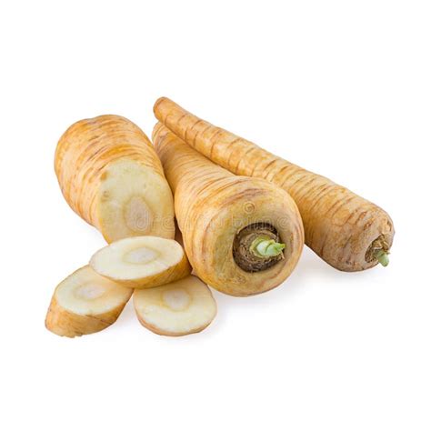 Parsnip Root Vegetable Stock Image Image Of Natural 62730561