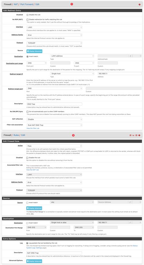when trapping rogue dns requests logging looks strange netgate forum