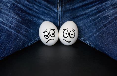 BEST Testicles IMAGES STOCK PHOTOS VECTORS Adobe Stock