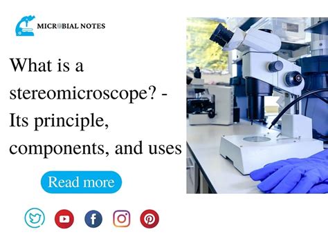 What Is Stereomicroscope Its Principle And Components
