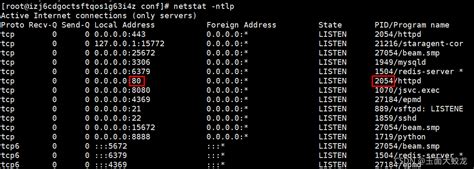 Linux下启动Nginx时报错nginx emerg bind to failed Address already in use 阿里云开发者社区