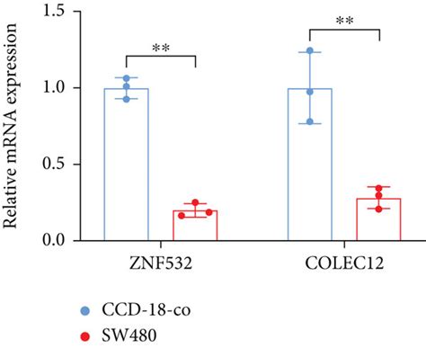 Multidimensional Expression Validation The Levels Of Znf532 And