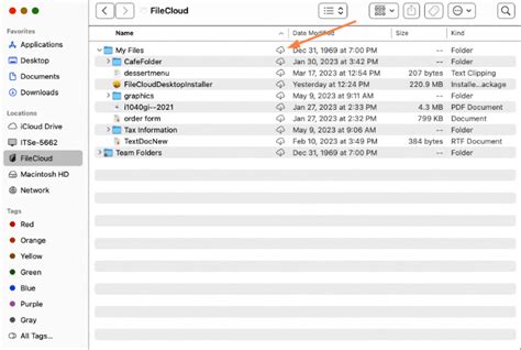 Opening And Logging In To Filecloud Desktop In Macos Filecloud Docs