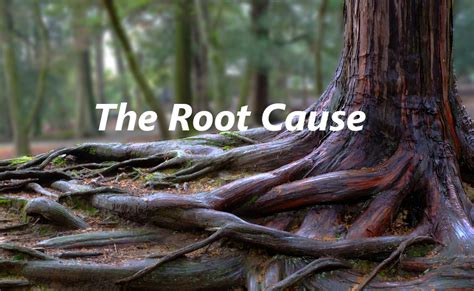 The Root Cause The Soul Sower