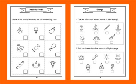 1st Grade Science Workbook Cool And Fun Activity Book For Grade 1