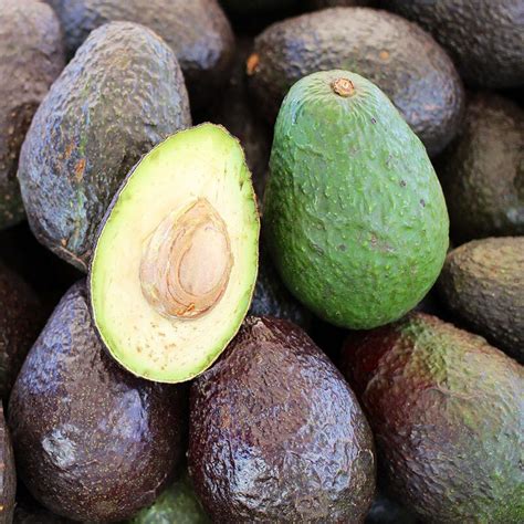 6 Cách Chọn Quả Bơ Ngon Không Bị đắng Và Nhận Biết Bơ Chín Hay Già