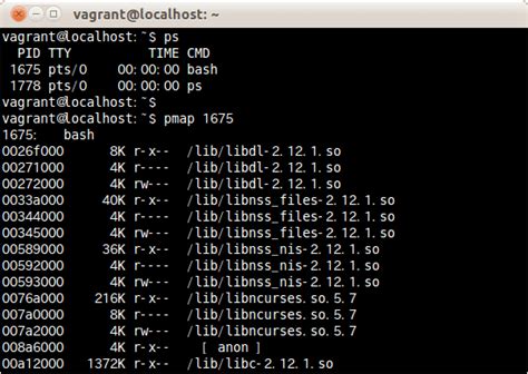 Pmapコマンドについて詳しくまとめました 【linuxコマンド集】