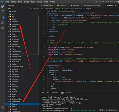 Vue Element Admin、vue 使用富文本编辑器（tinymce）实现汉化 Csdn博客
