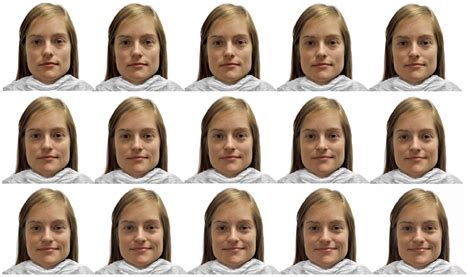 Sample 15 Step Facial Emotion Morph Note A Sample 15 Step Facial